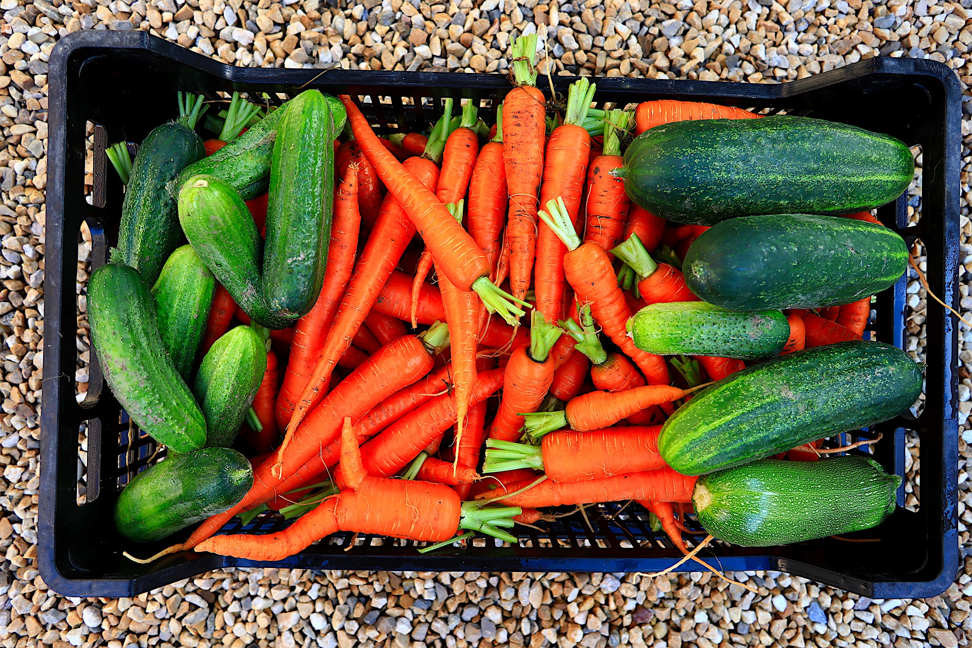 Wie funktionieren Foodcoops? - Hungry for Science